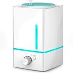 10 Best Essential Oil Diffusers To Relax & Unwind | Storables