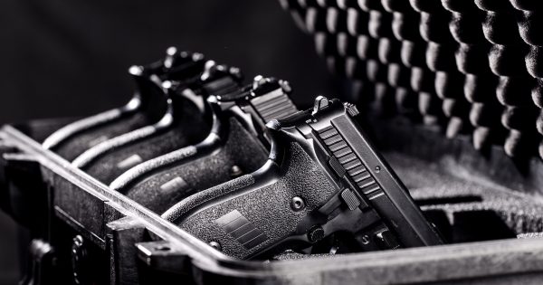 10 Best Gun Storage Solutions to Keep Your Kids Safe | Storables