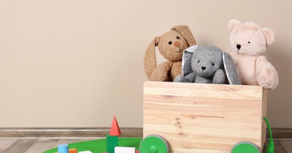 Top 30 Outdoor Toy Storage Box Ideas To Try | Storables