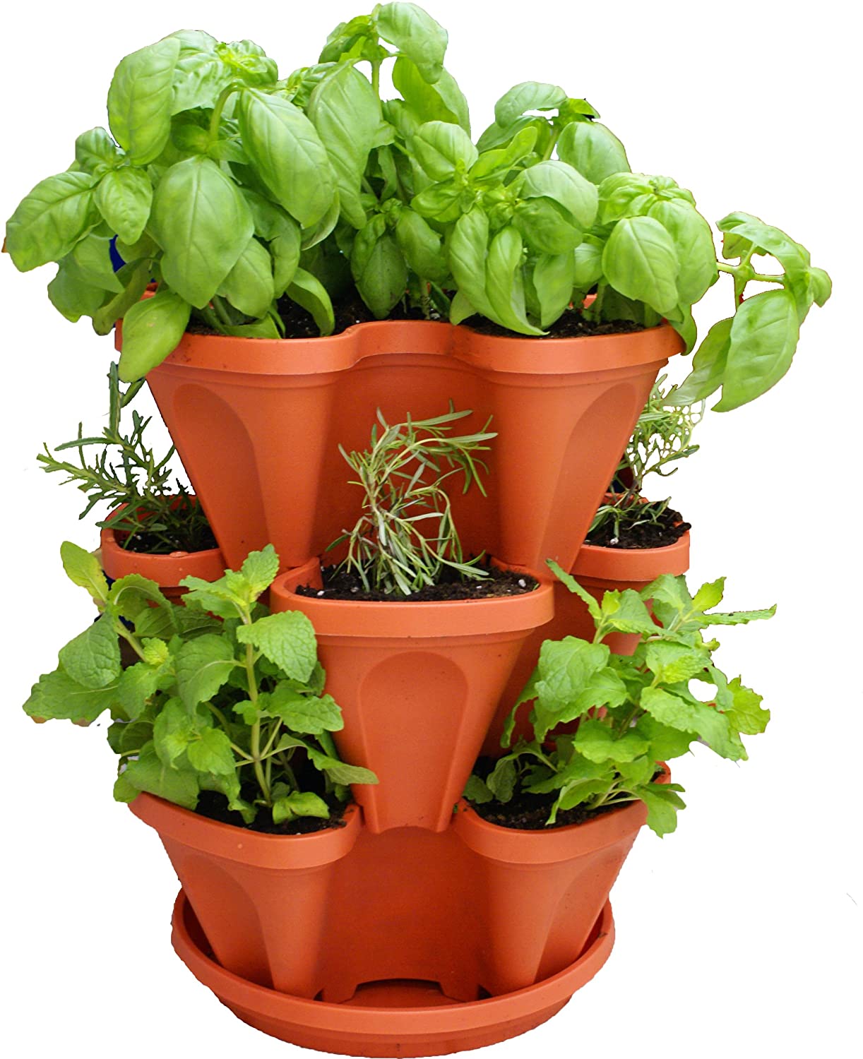 50 Quick And Easy Herb Garden Ideas | Storables