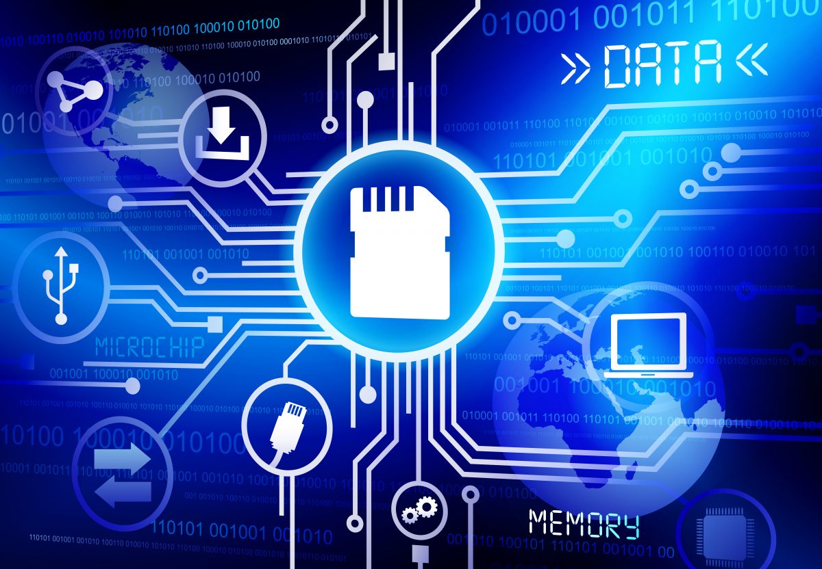 25 Best SD Cards To Keep Your Memories Safe | Storables