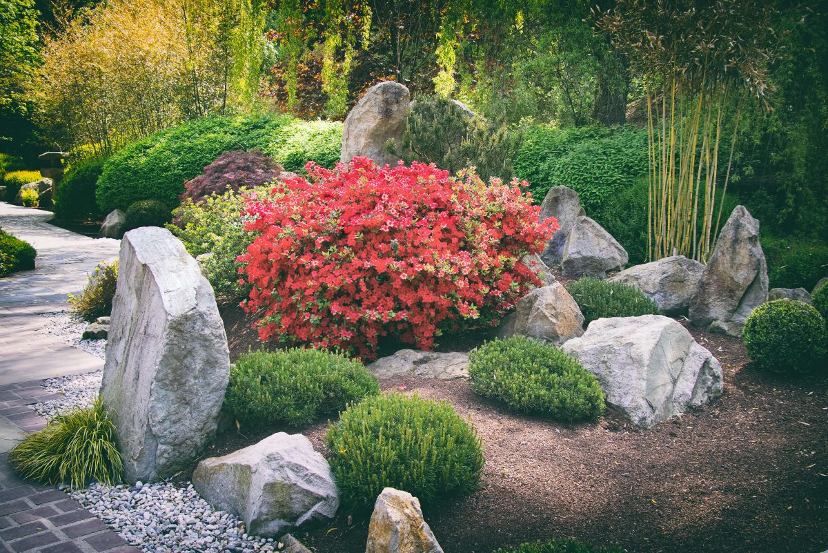 40 Beautiful Rock Garden Ideas In 2022 | Storables