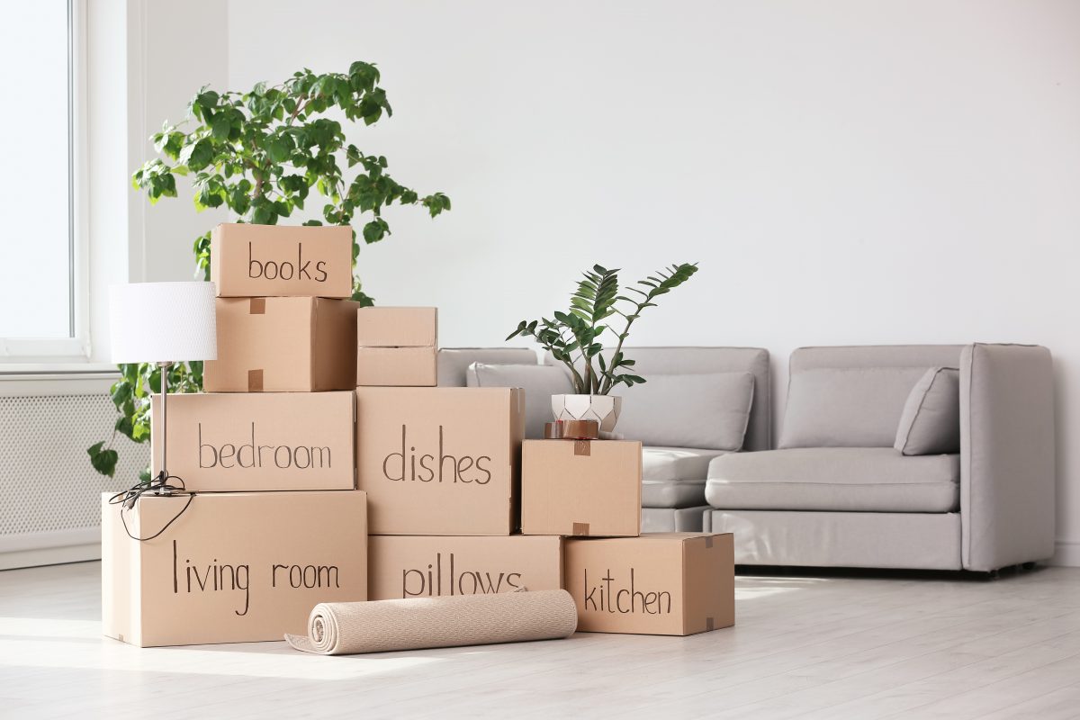 55 Brilliant & Fuss Free Moving Ideas That Will Help You | Storables