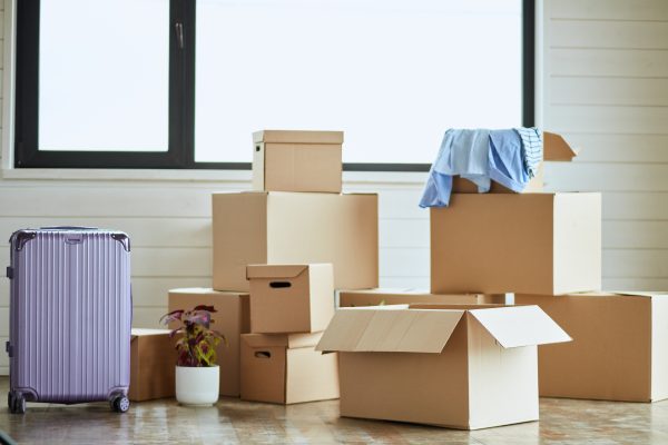 How To Relocate: 20 Hassle Free Relocation Tips | Storables