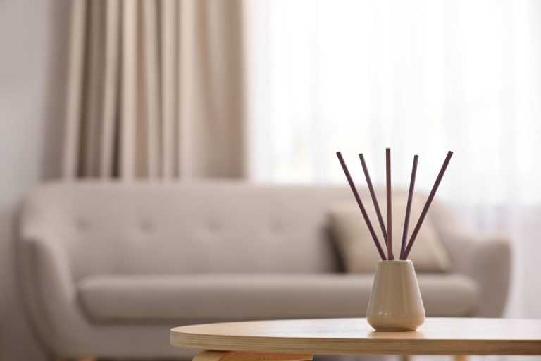 5 Great DIY Natural Air Freshener For A Refreshing Feel | Storables