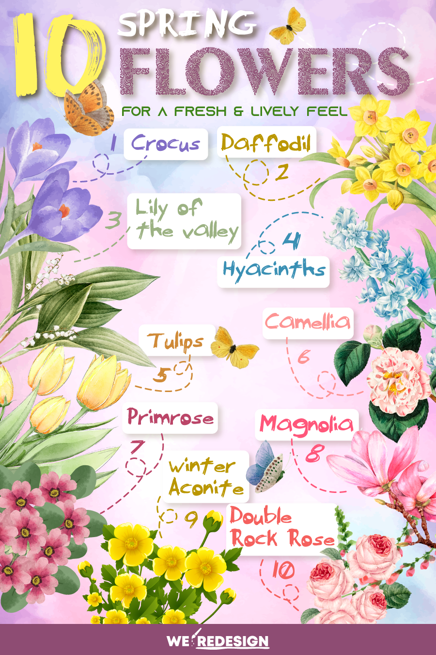 10 Spring Flowers For A Fresh & Lively Feel | Storables