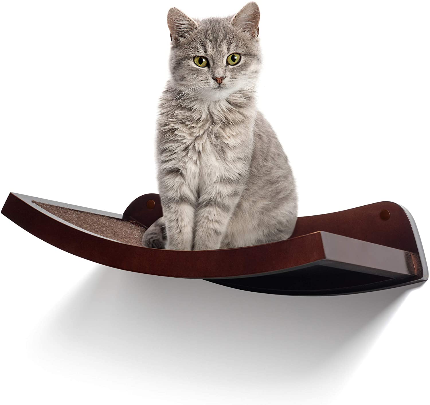 20 Best Cat Shelves For Your Feline Friend | Storables