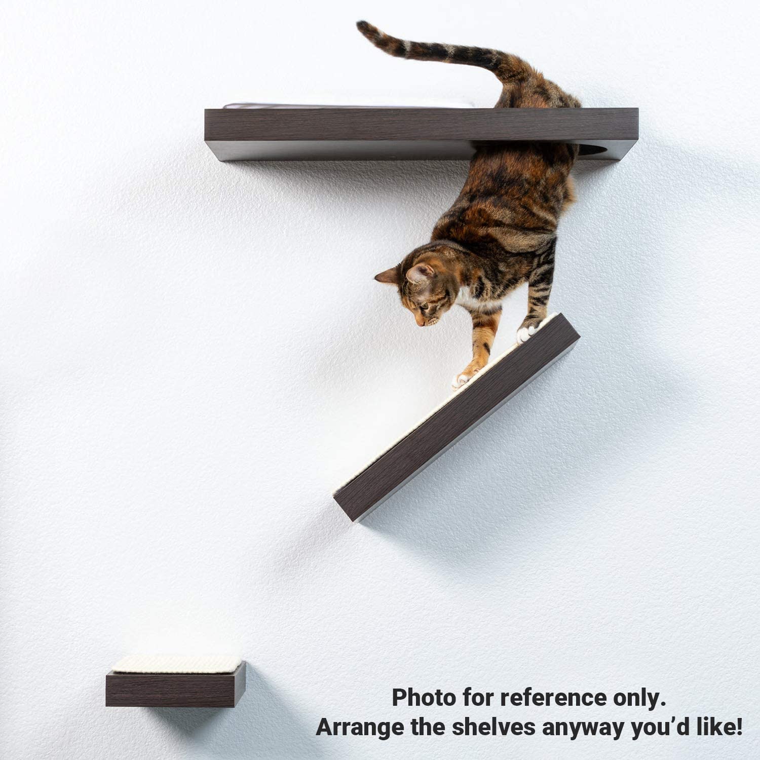 20 Best Cat Shelves For Your Feline Friend | Storables