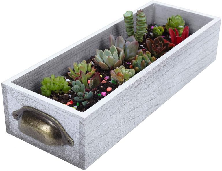 35 Gorgeous Window Boxes That Really Work | Storables