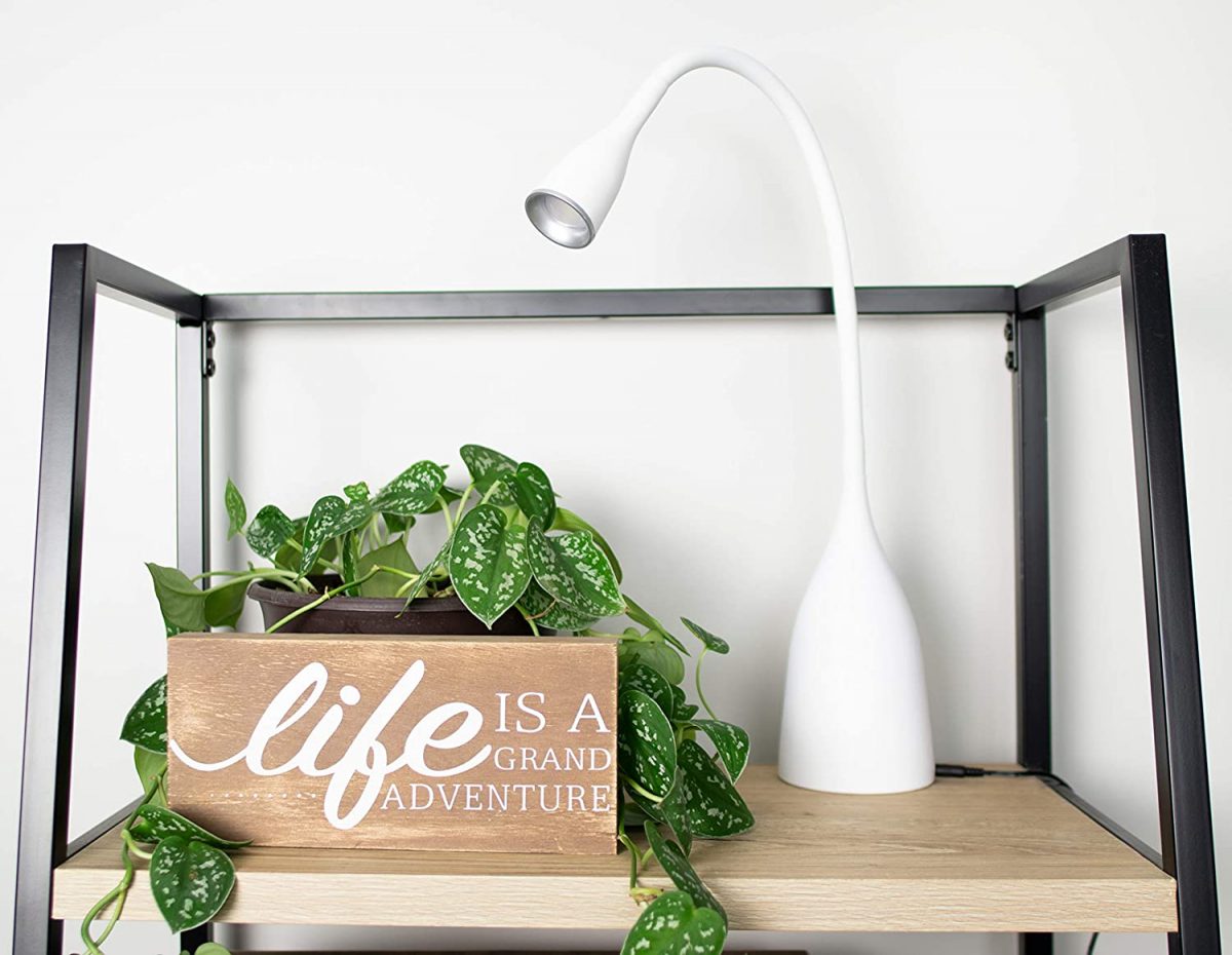 10 Lovely Task Light Options For Any Activity | Storables