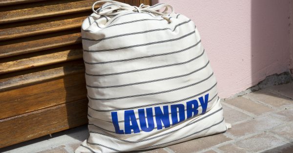 15 Best Hanging Laundry Bag To Conceal Your Dirty Clothes | Storables