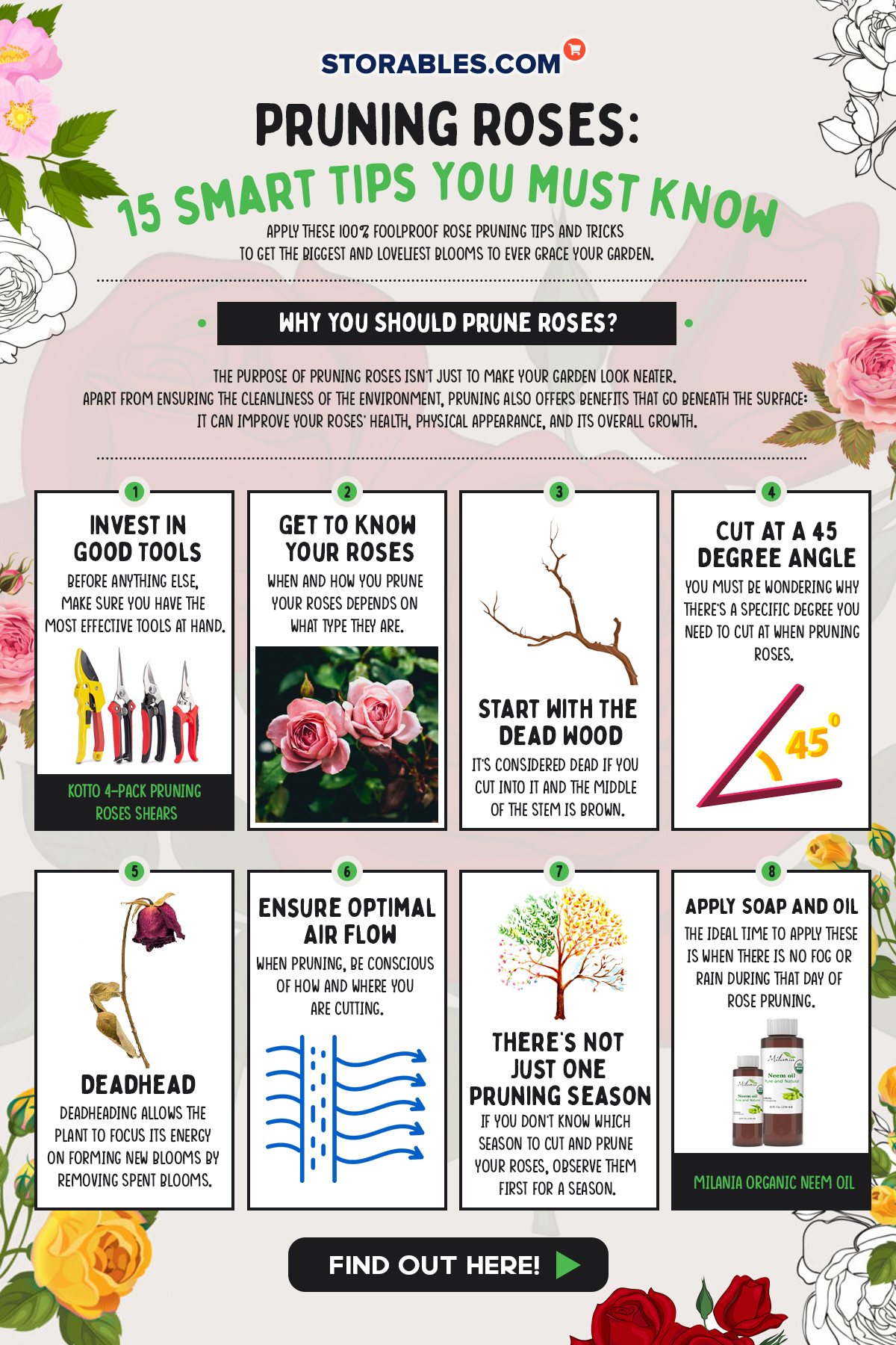 Pruning Roses: 15 Smart Tips You Must Know | Storables
