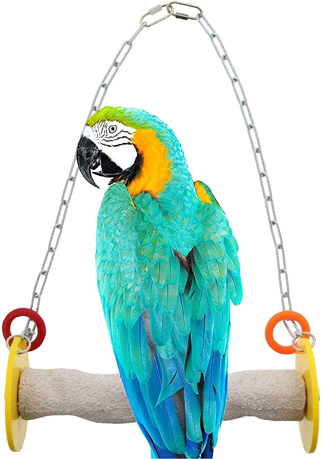 12 Best Bird Perch for Your Feathered Friends | Storables.com