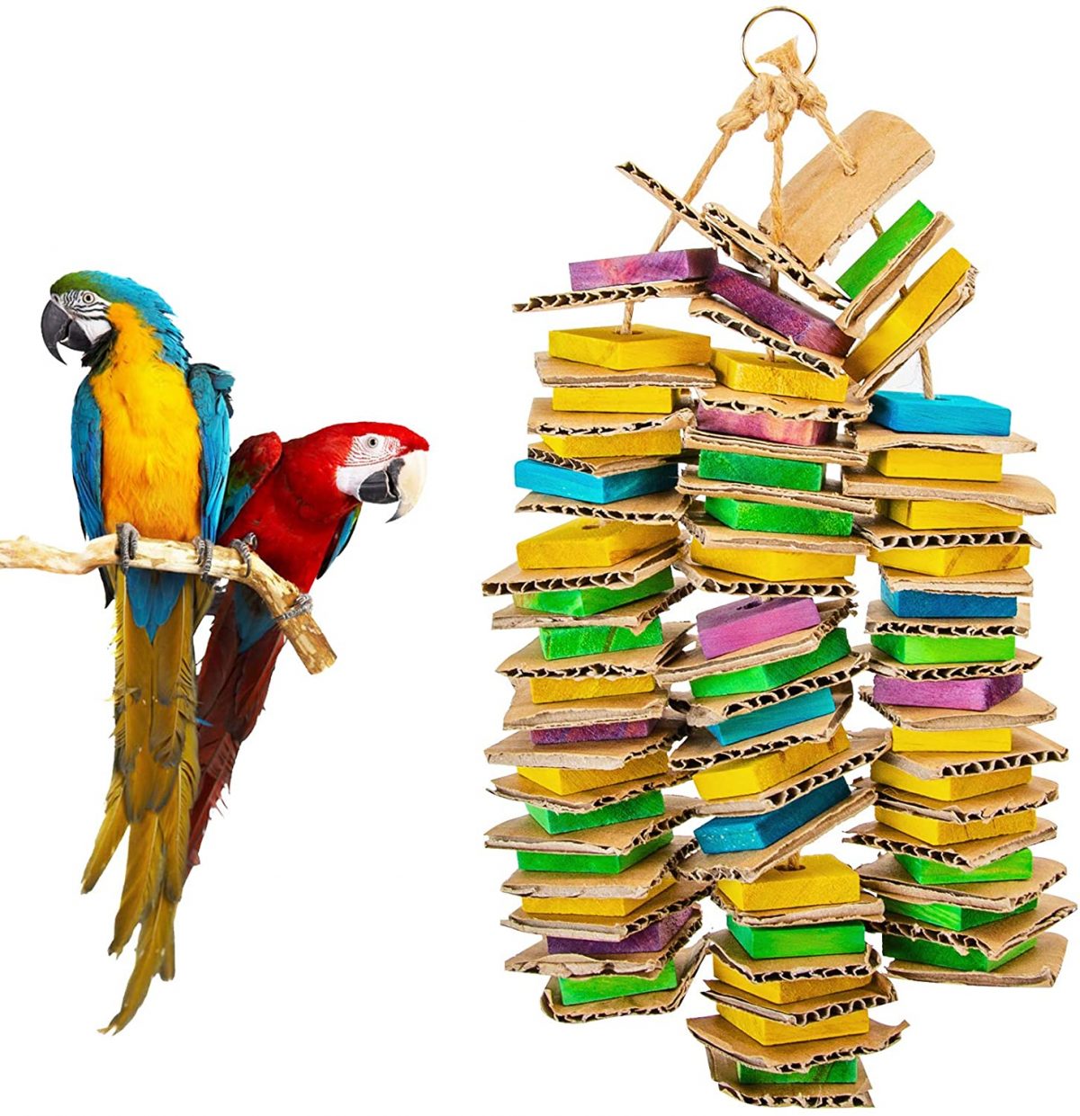 14 Parrot Toys That Keep Your Pets Sharp and Lively | Storables