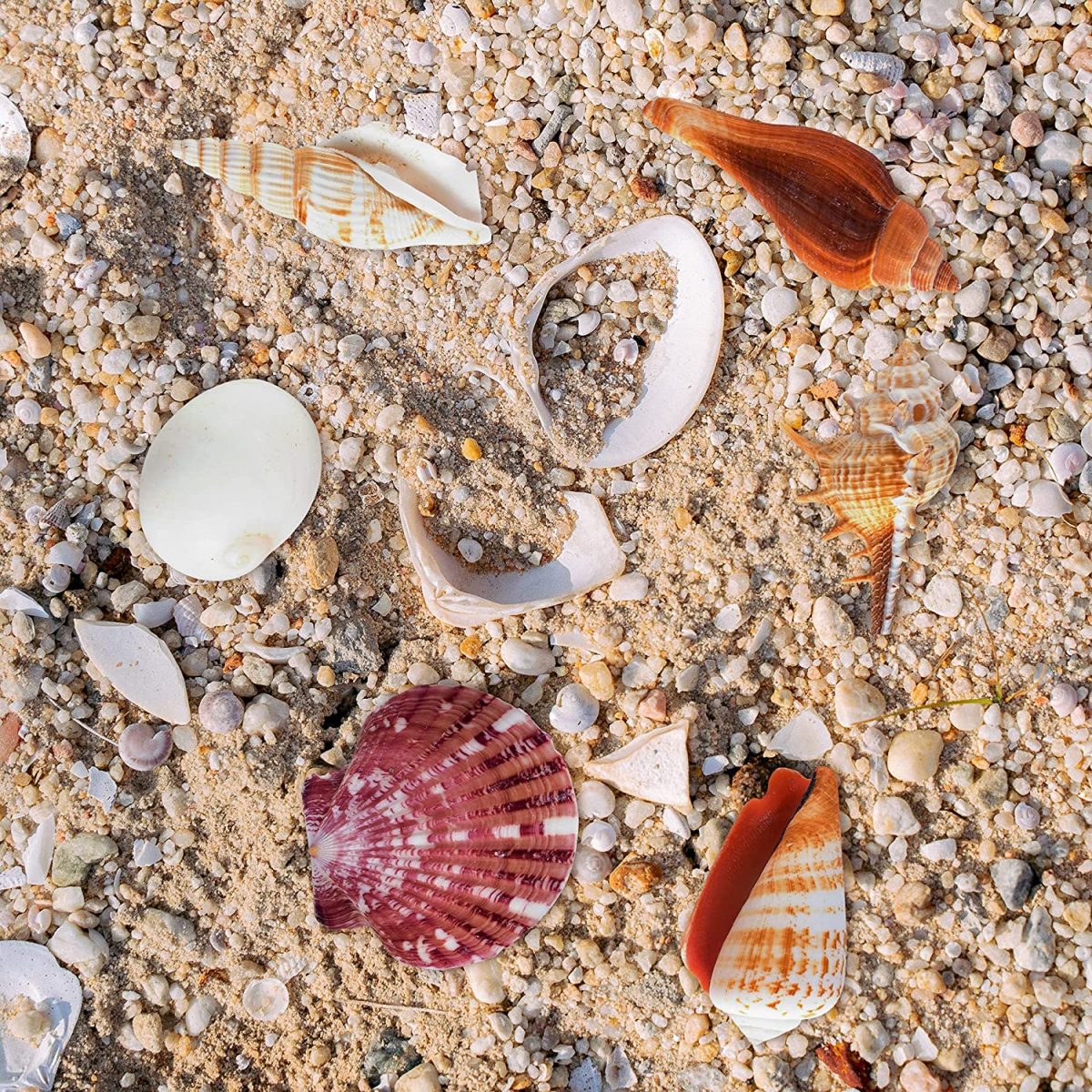 15 Letterpress Drawers Ideas For Repurposing Yours | Storables