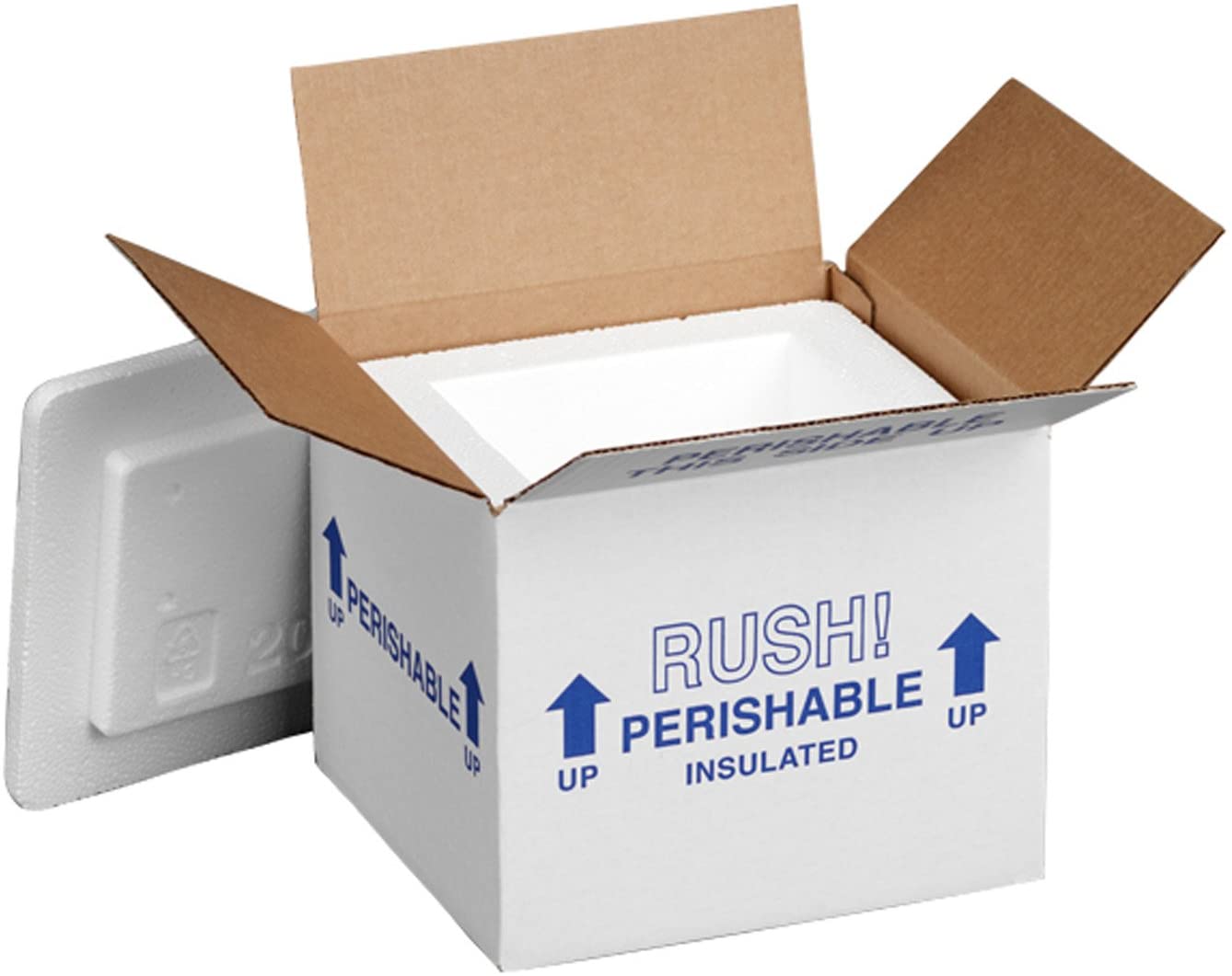 Best Styrofoam Cooler Boxes For Backyard Gatherings | Storables