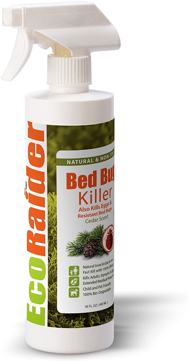 Best Non-Toxic and Effective Bug Spray for Your Home | Storables