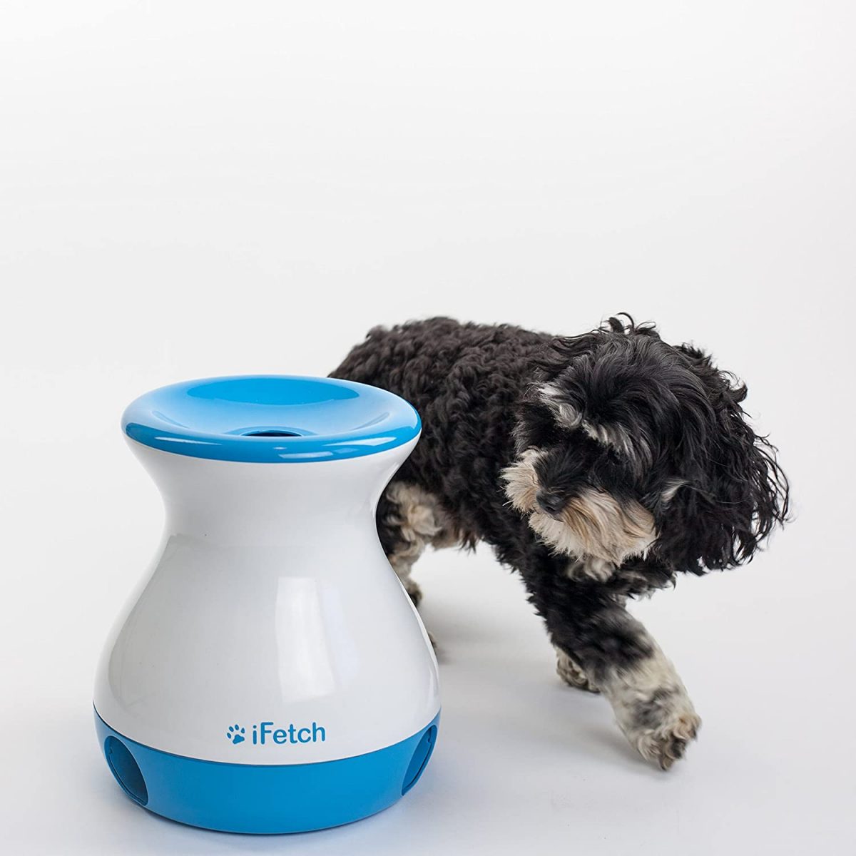 10 Best Dog Ball Launchers To Keep Your Pets Peppy | Storables