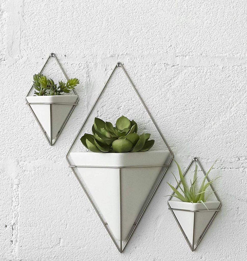10 Best Decorative Planters for Indoor Plant Walls | Storables