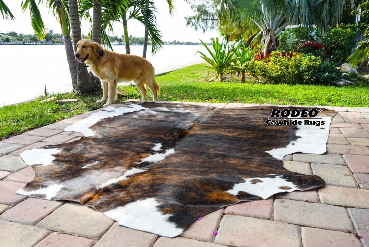 Affordable Cow Hide Rug For Your Living Room | Storables