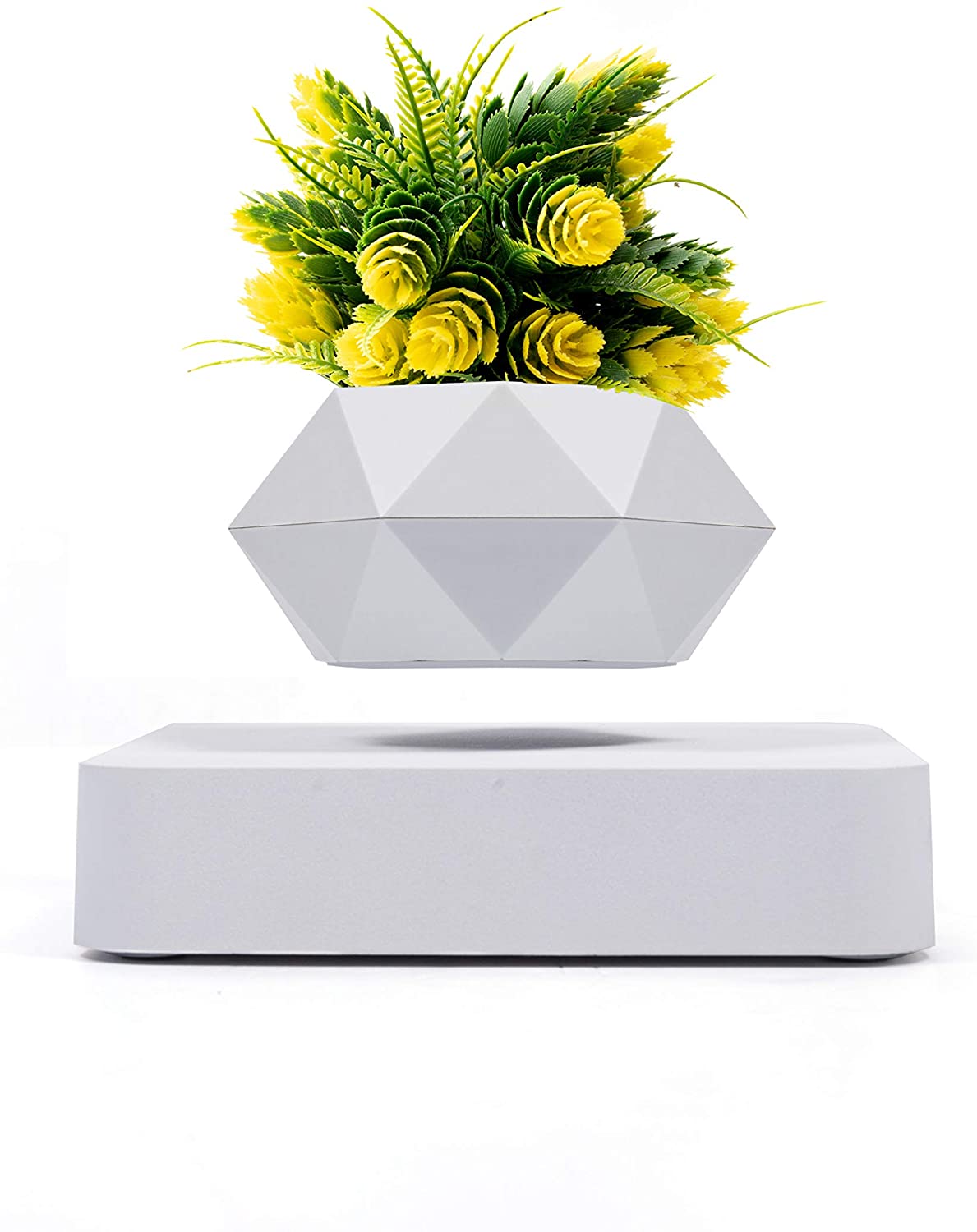 6 Levitating Plant Pots You Must Include In Your Indoor Garden | Storables