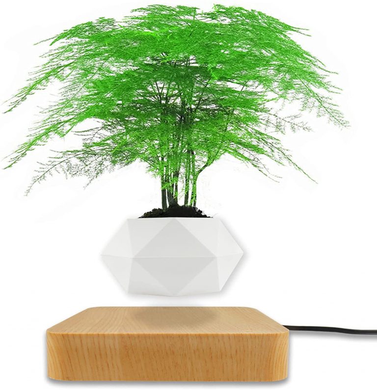 6 Levitating Plant Pots You Must Include In Your Indoor Garden | Storables