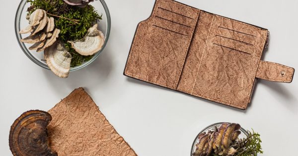 What Is Vegan Leather and What Is It Made Of | Storables
