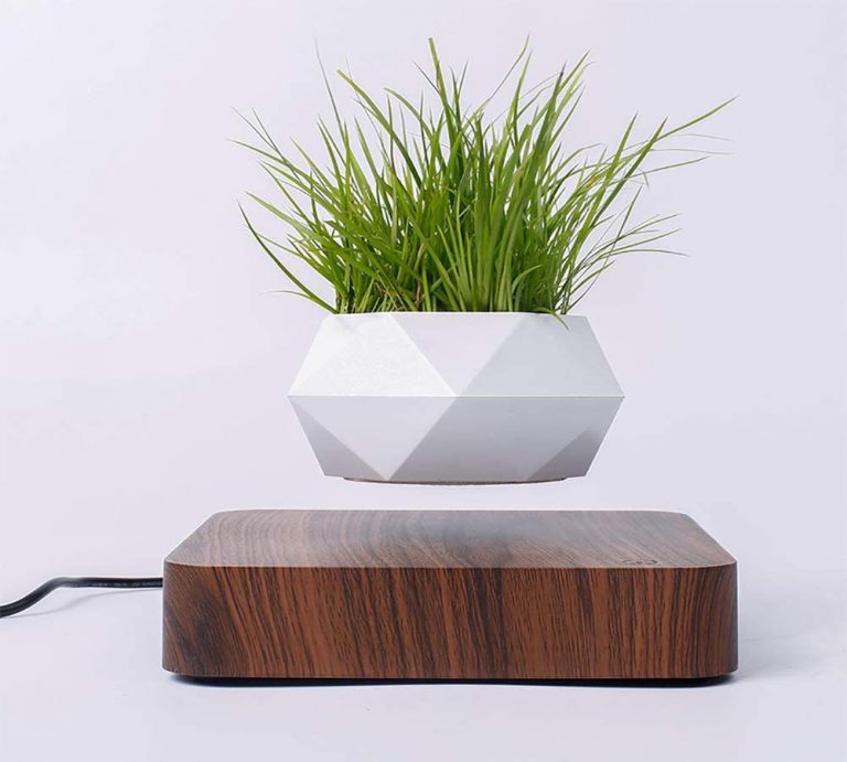 6 Levitating Plant Pots You Must Include In Your Indoor Garden | Storables