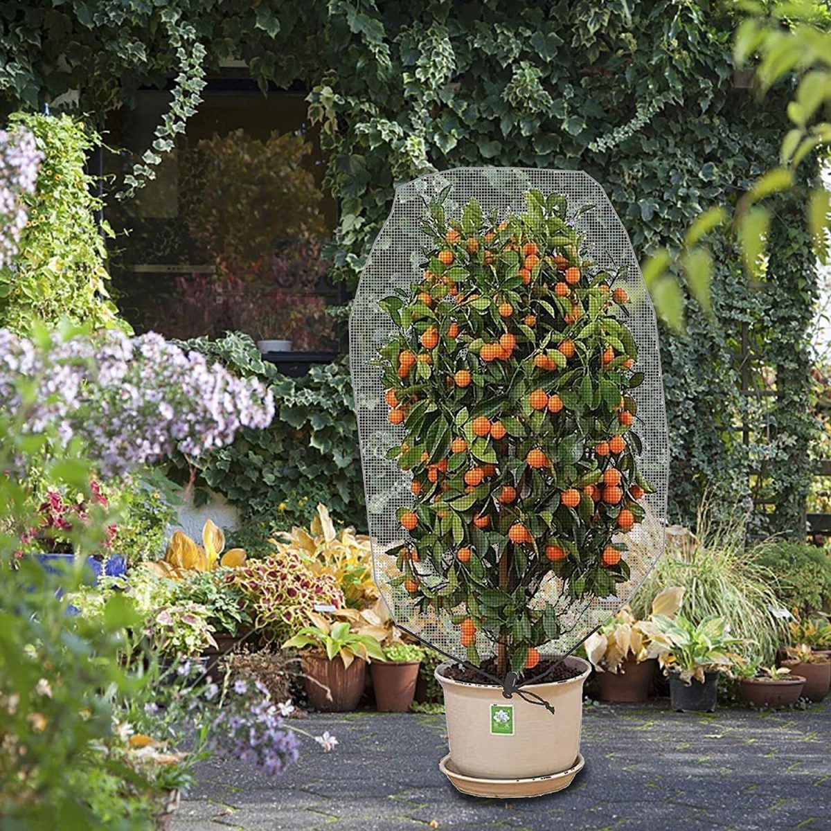 10 Best Garden Netting To Protect Your Flora and Fauna | Storables