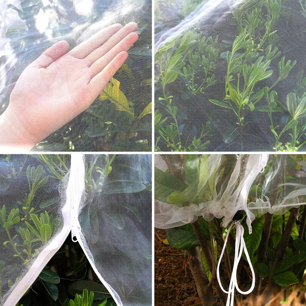 10 Best Garden Netting To Protect Your Flora and Fauna | Storables