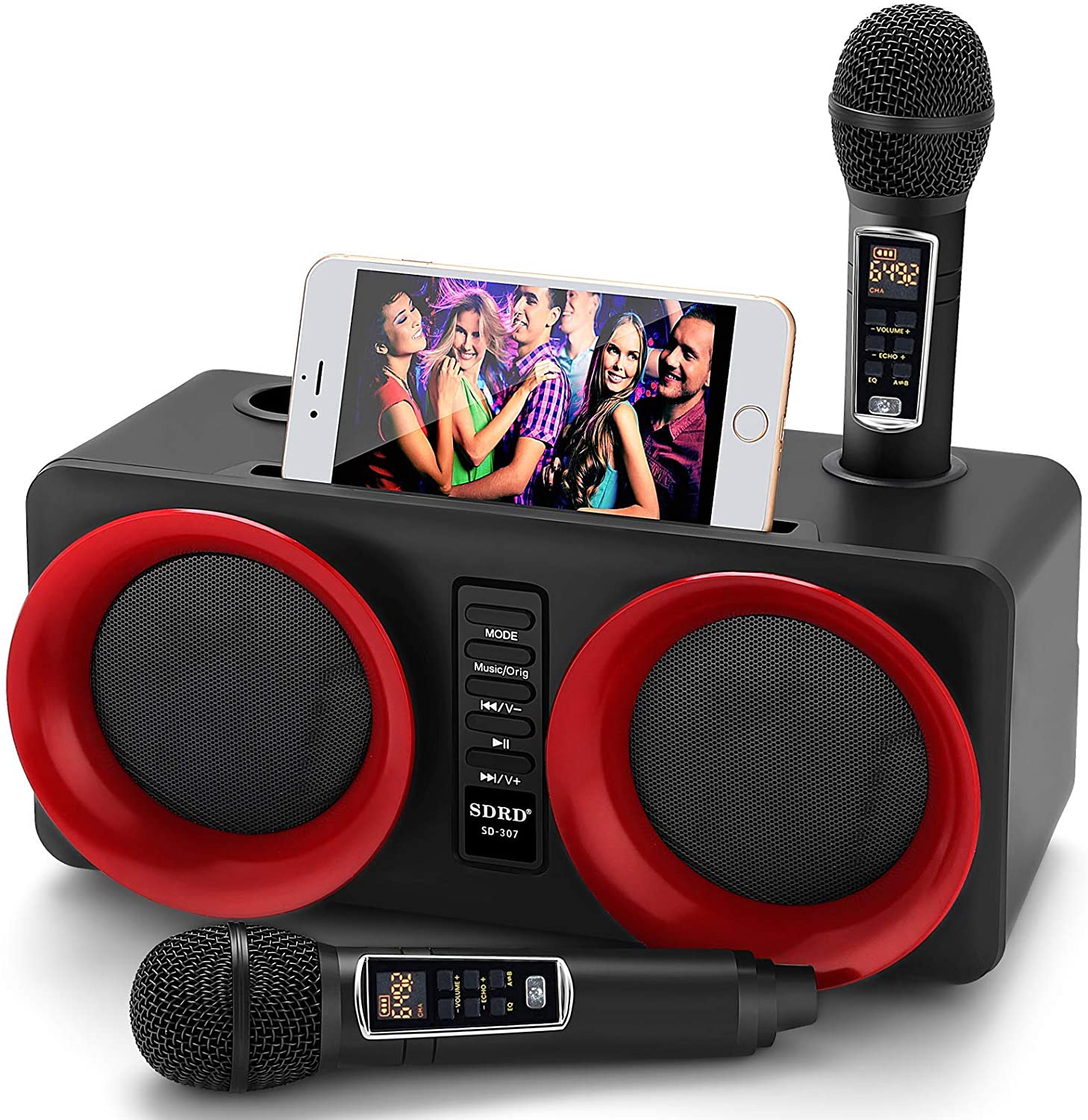 Bluetooth Operated Karaoke Speakers For Home Gatherings | Storables