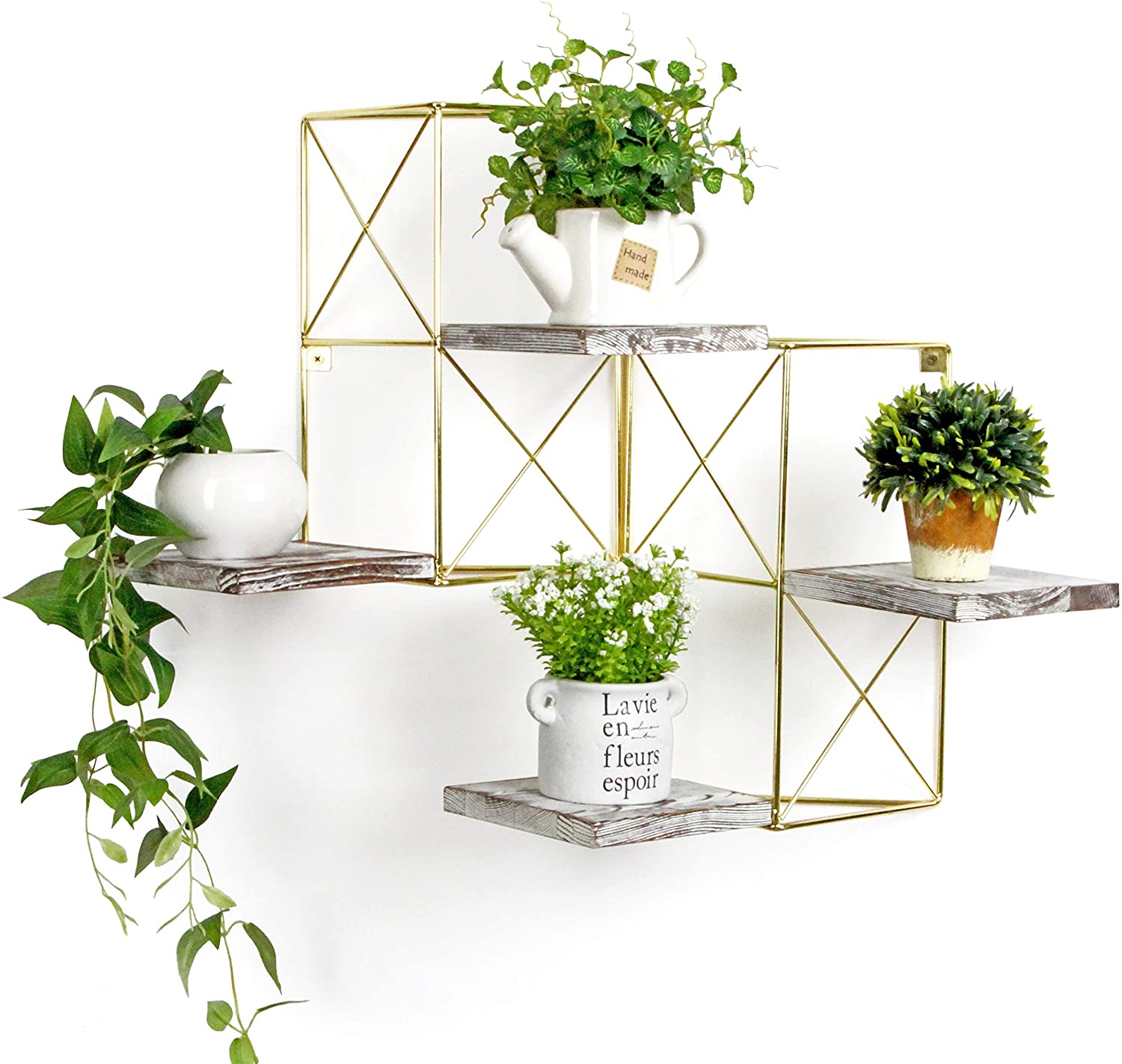 10 Plant Shelves To Elevate Your Green Babies | Storables