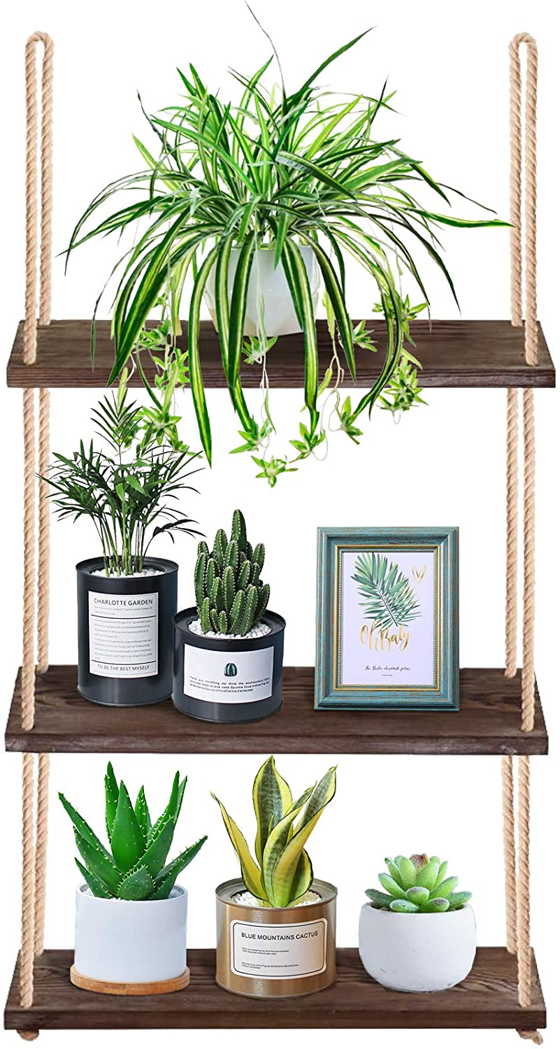 10 Plant Shelves To Elevate Your Green Babies | Storables
