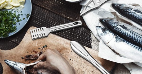 Best Fish Scaler Options for Beginners to Use at Home | Storables