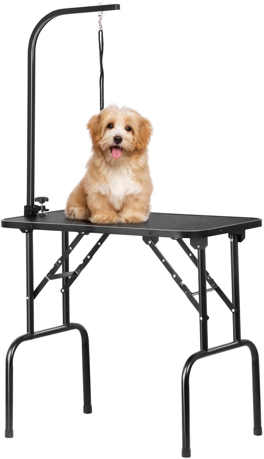 Portable Dog Grooming Table for Your Pawsome Friends | Storables