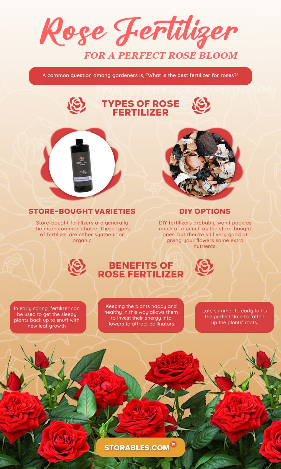 What Is The Best Fertilizer For Roses: Your Ultimate Guide | Storables