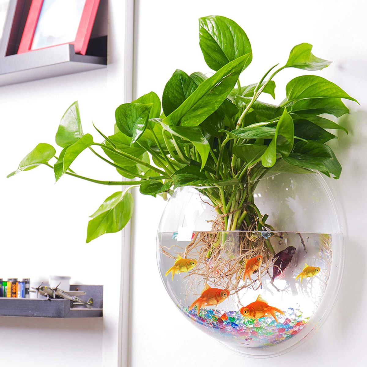 Best Wall Mounted Fish Tank to Beautify Your Home | Storables