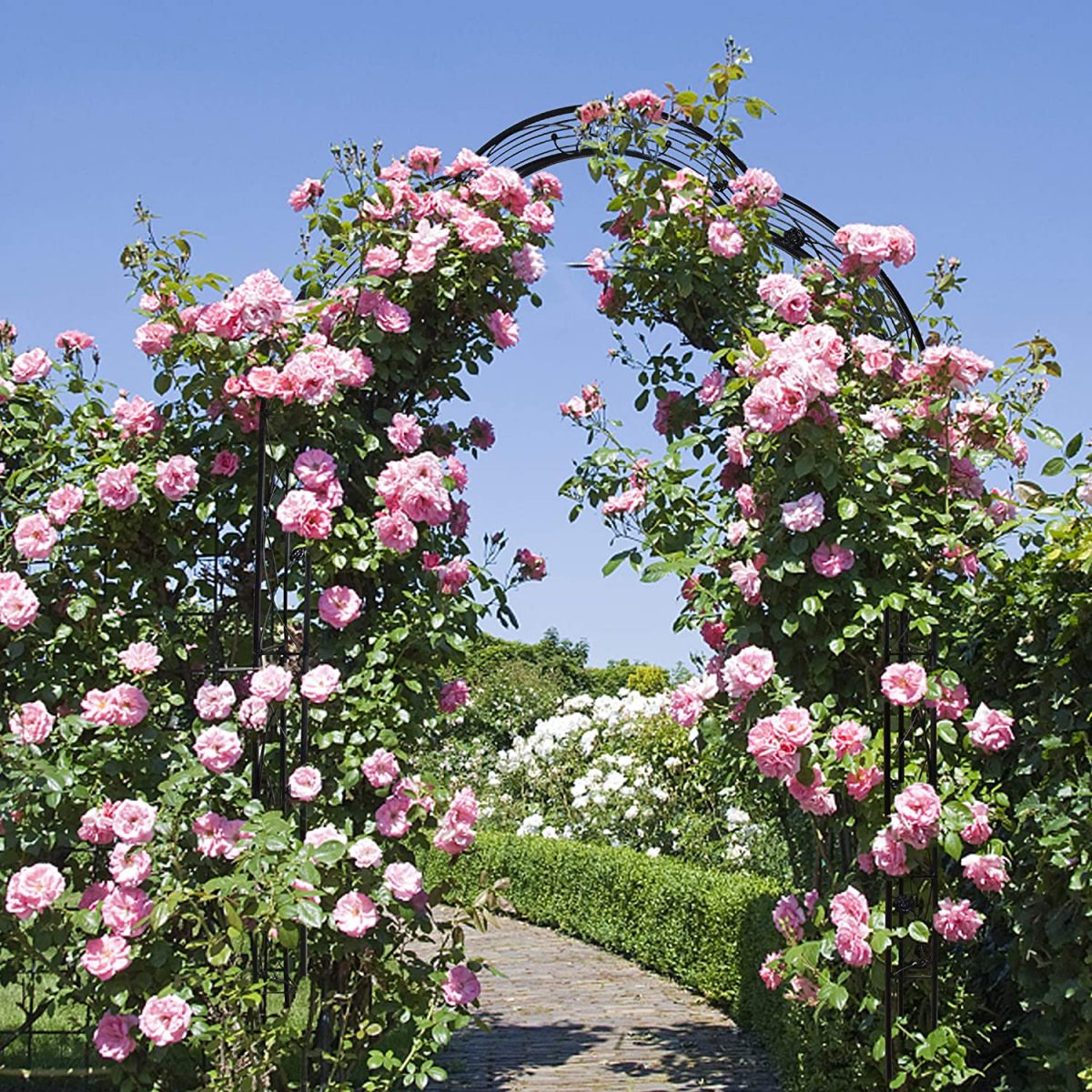 Garden Arch Ideas For a More Visually Appealing Backyard | Storables