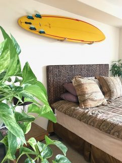 Best Surfboard Wall Mount Options to Organize Them All | Storables