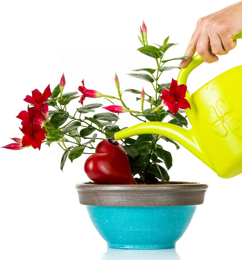 10 Best Plant Waterer Picks For A Healthier Garden | Storables