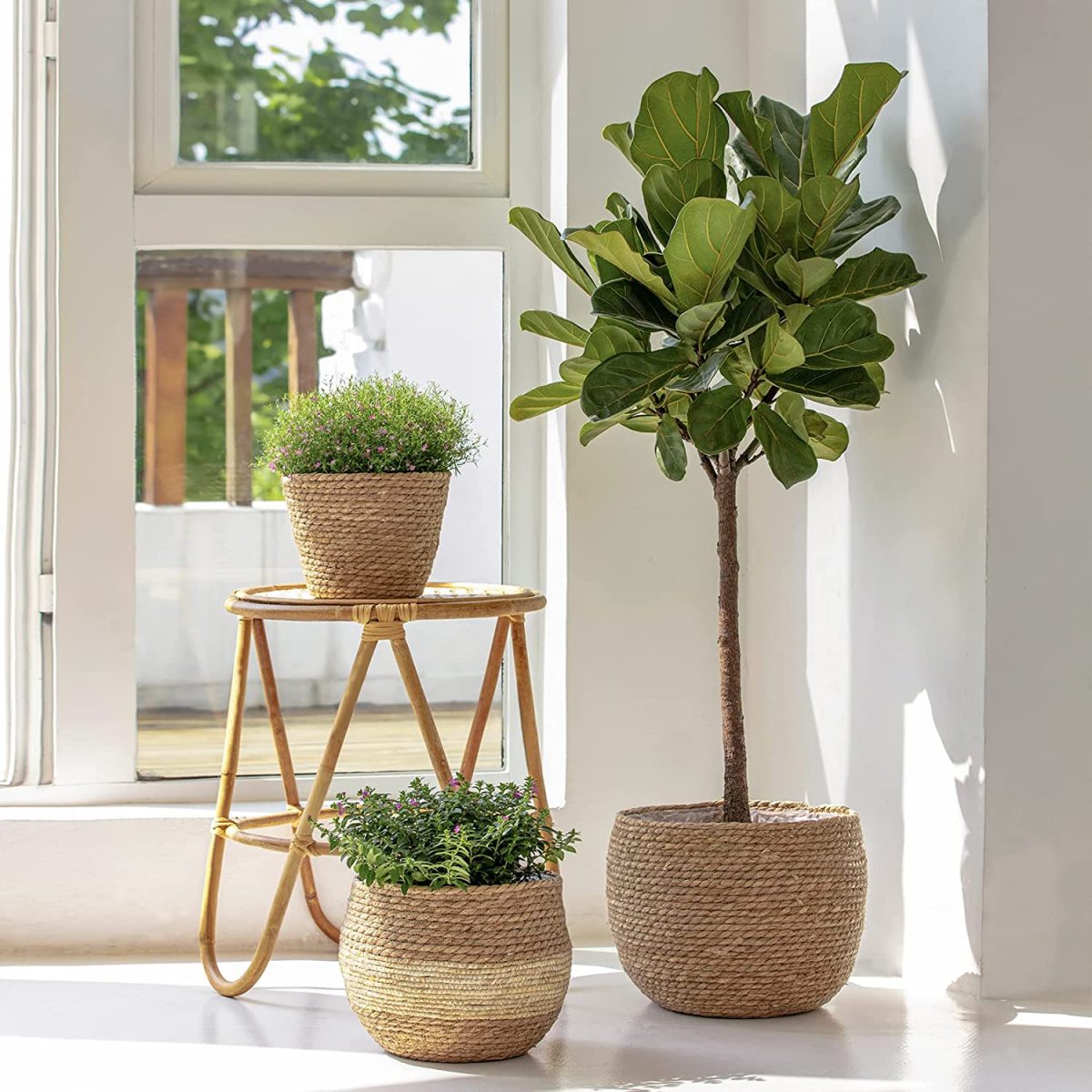 10 Large Outdoor Flower Pots For Your Dense Garden | Storables
