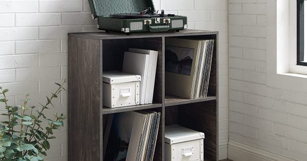 15 Best Record Storage Cabinet Picks We Love | Storables