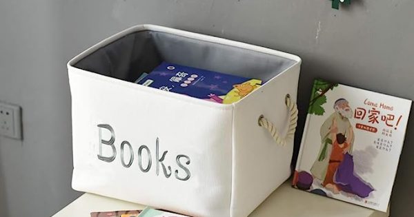 Our Guide to The 5 Best Book Storage Boxes | Storables