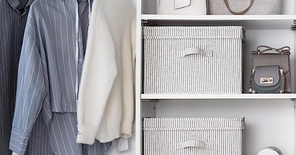 Guide to the 10 Best Clothes Storage Boxes | Storables