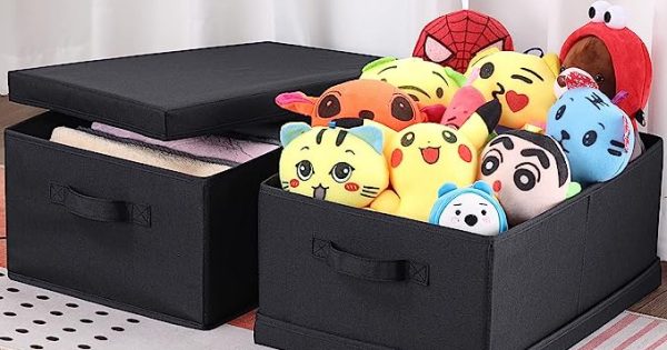 The Hottest Black Storage Bins for Your Home | Storables