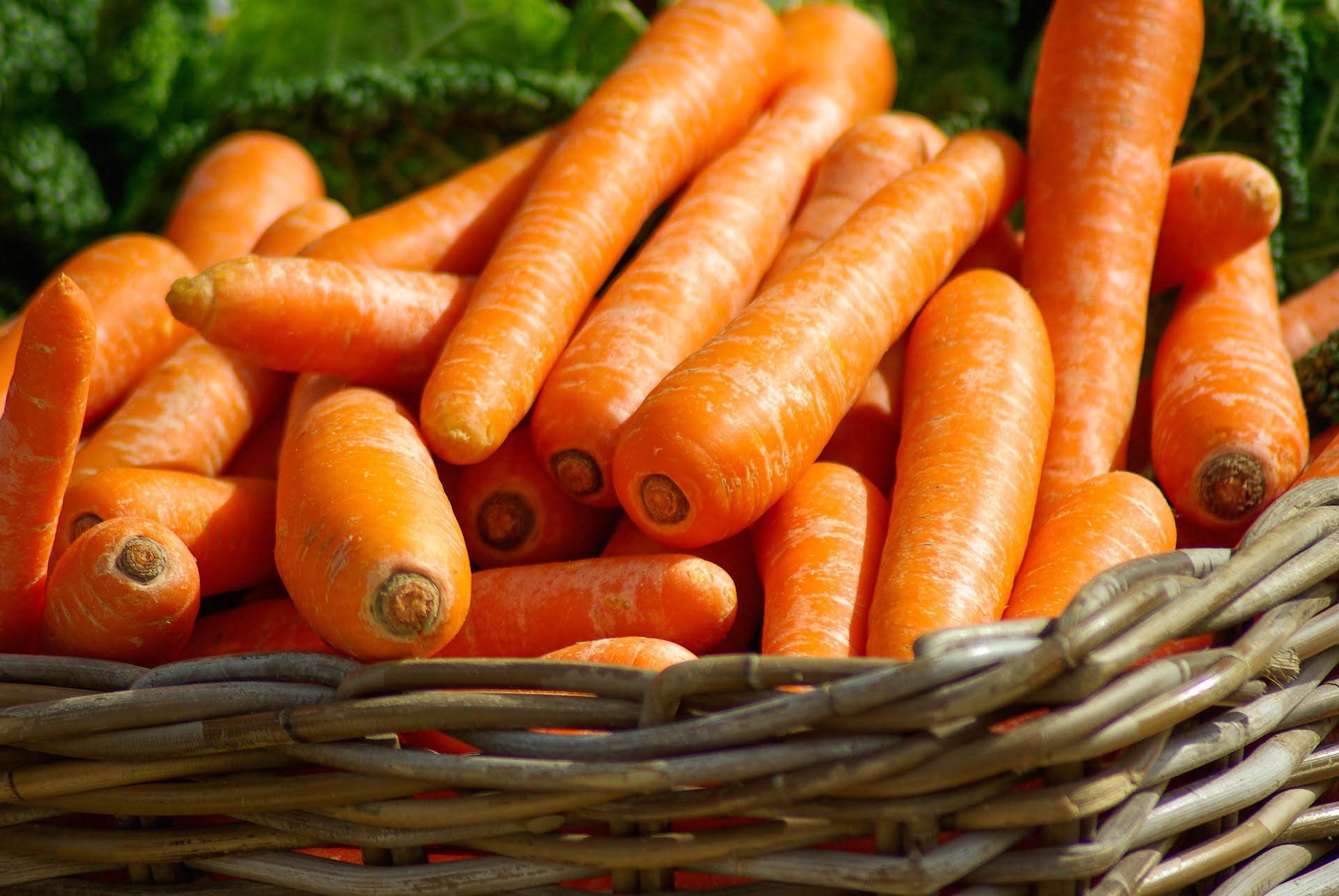 How To Store Carrots Over Winter Storables