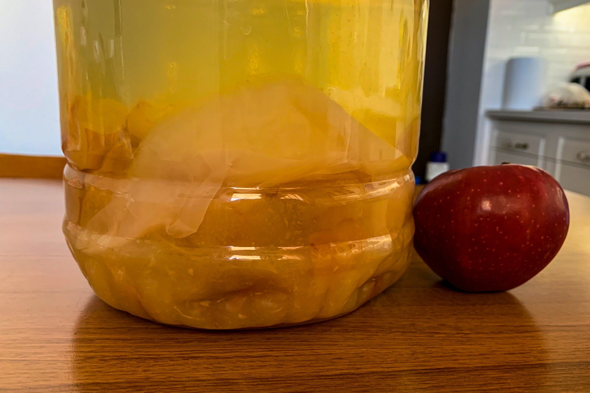How To Store Vinegar Mother Storables