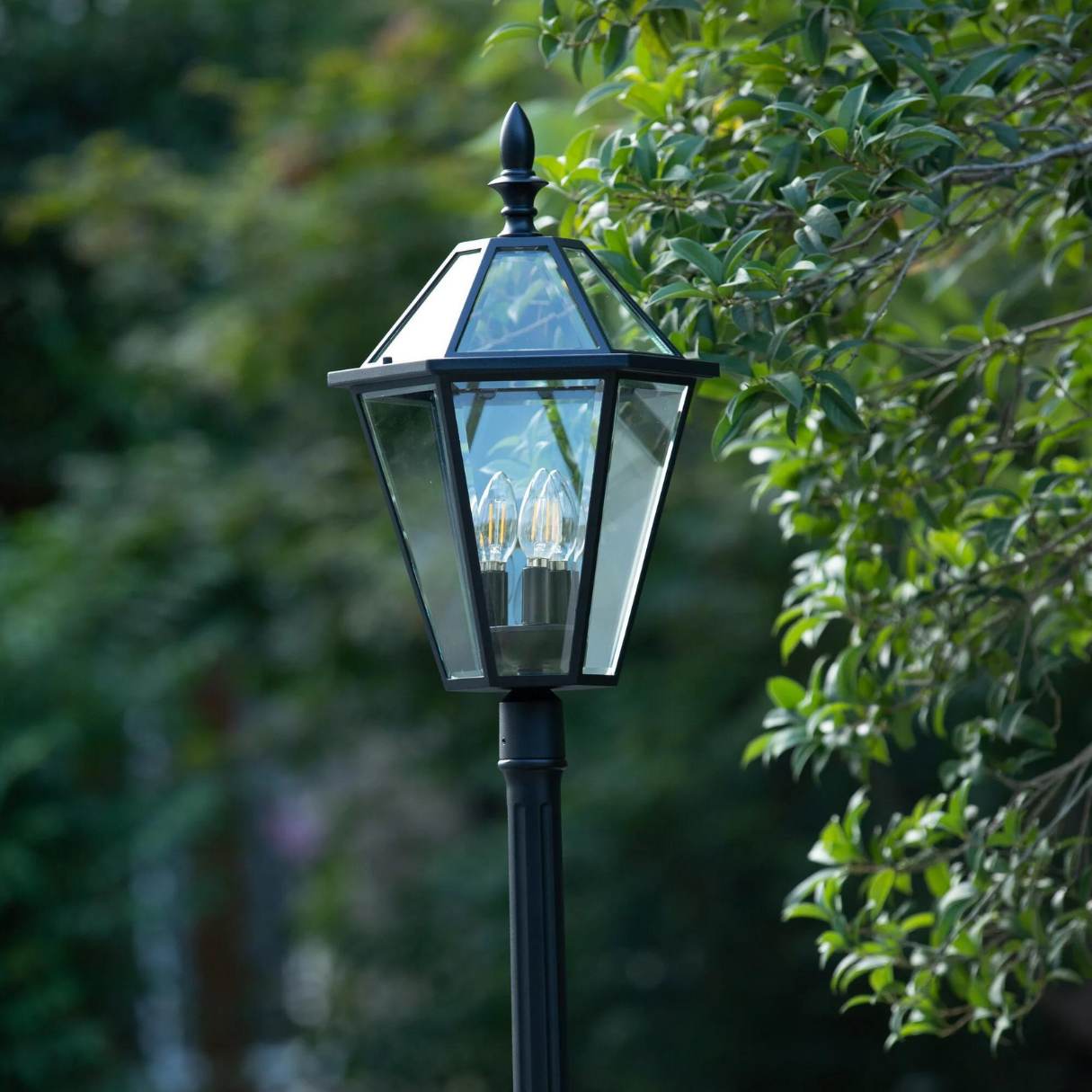 Lamp Post Regulations At Eric Bartley Blog Lamp Post Regulations At Eric Bartley Blog