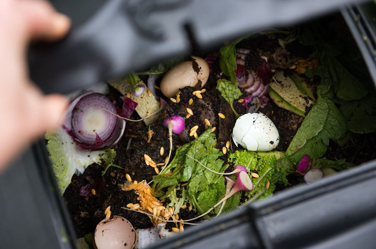 What Can You Put In A Compost Bin Storables